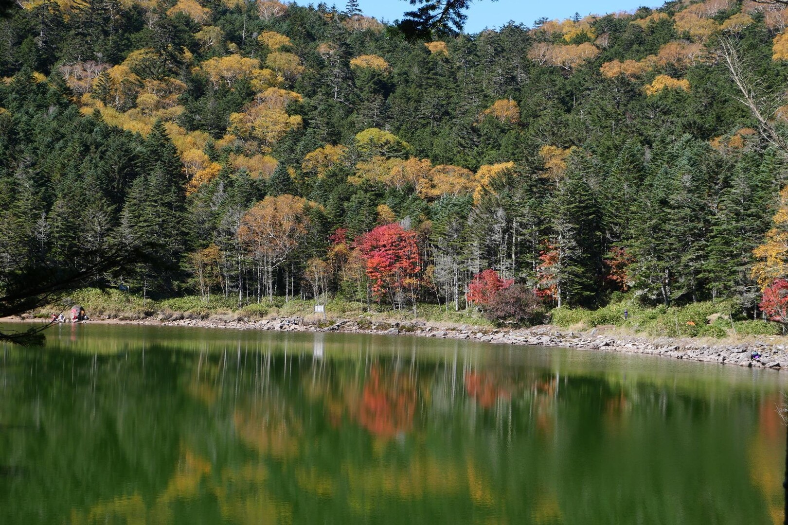 ご来光、池々の紅葉に大満足😚ただ…大岳-双子池間はマジでキツかった。 / もとさんの蓼科山・横岳・縞枯山の活動日記 | YAMAP / ヤマップ