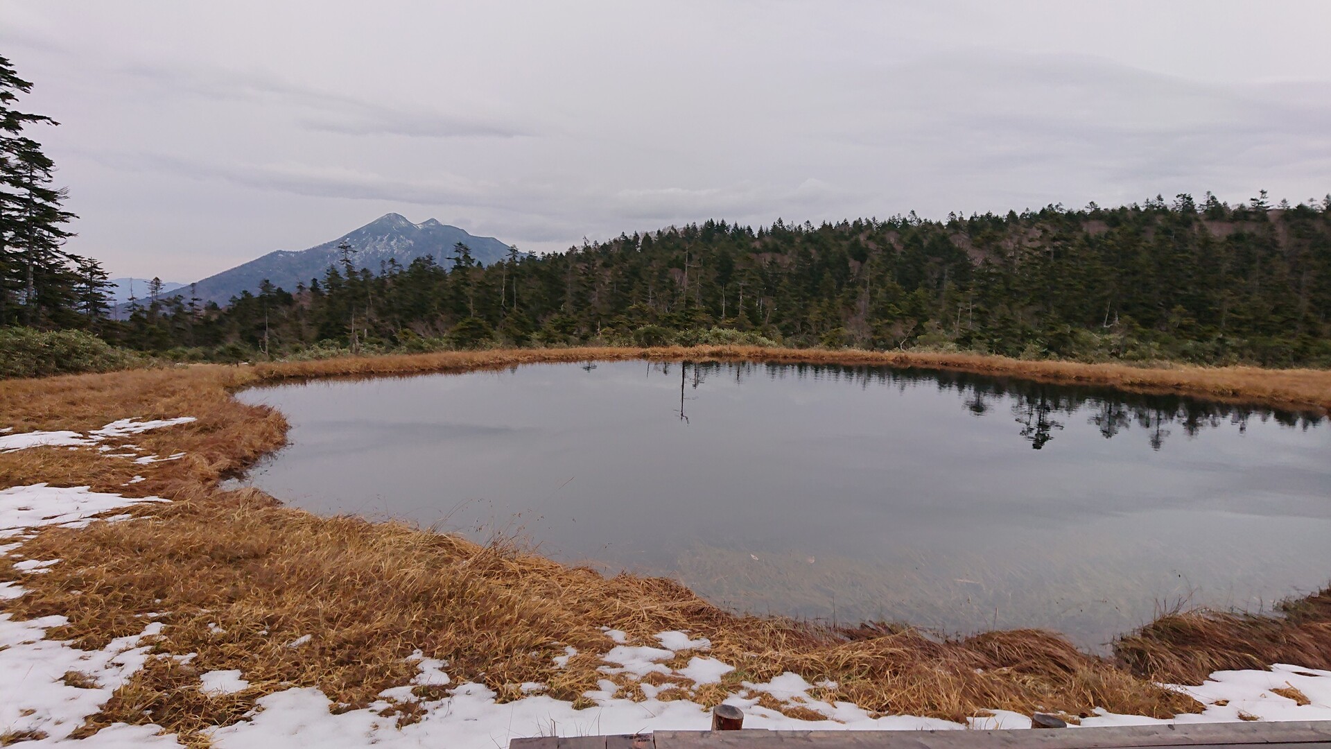 尾瀬国立公園マウンテンマラソン / sakagrunさんの尾瀬・燧ヶ岳の活動データ | YAMAP / ヤマップ