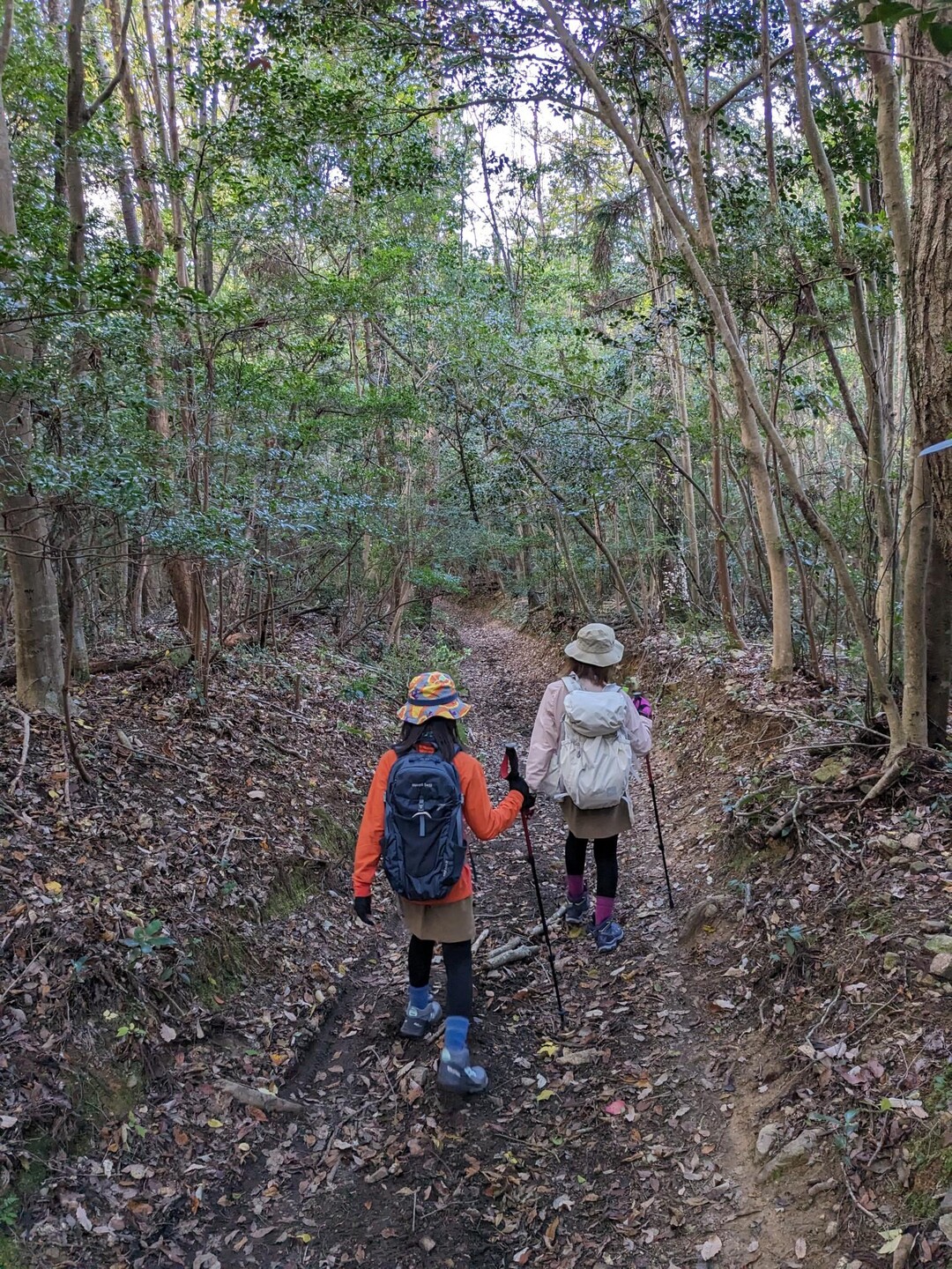 2023-11-19 摩耶別山 家族でハイキング🥾 / AMA TREKさんの六甲山・長峰山・摩耶山の活動データ | YAMAP / ヤマップ