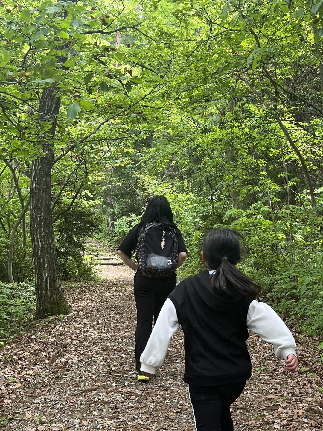 自然が大好きな孫とドライブ🚘上市〜立山方面 / kikuさんの城ヶ平山・ハゲ山・峠山の活動データ | YAMAP / ヤマップ