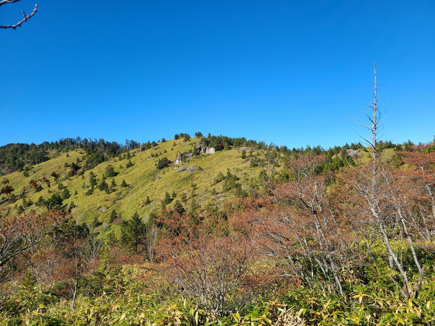 南木曽岳・摩利支天 / TEPPY さんの高鳥屋山・梨子野山・笠松山の活動データ | YAMAP / ヤマップ