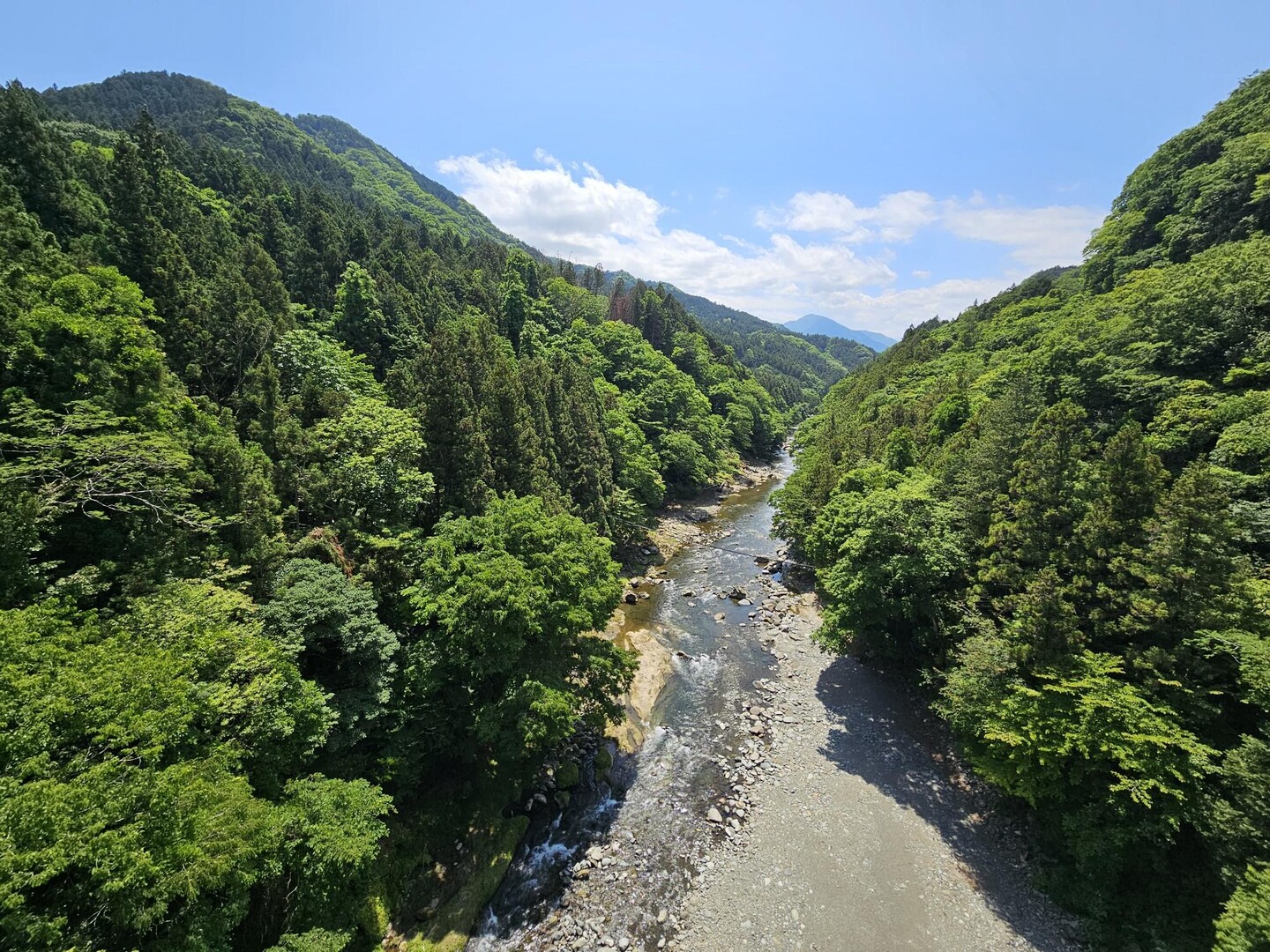 TTT（丹沢 to 高尾） / ゆーくんさんの塔ノ岳・丹沢山・蛭ヶ岳の活動データ | YAMAP / ヤマップ
