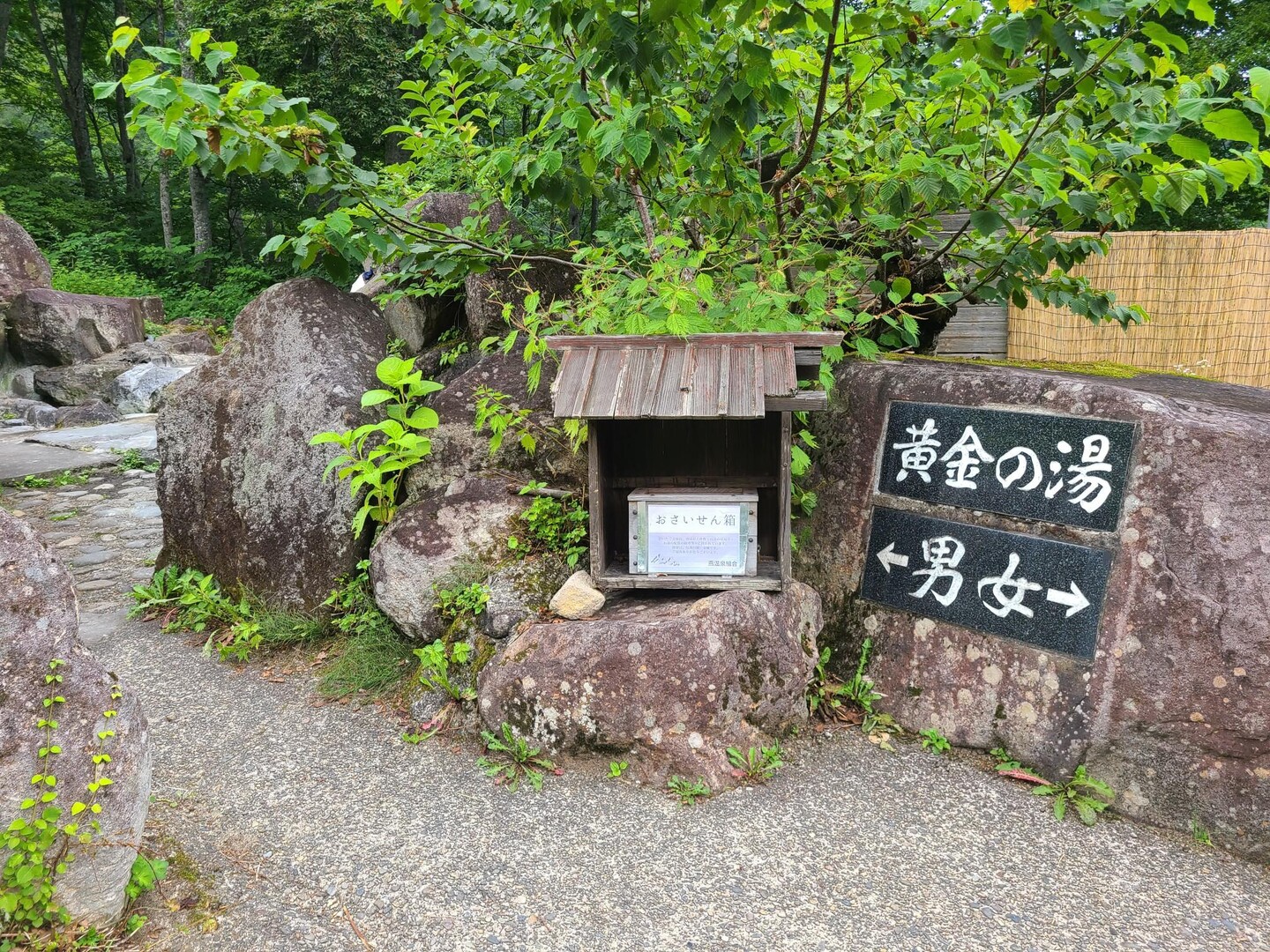 妙高山（南峰）・妙高山（北峰） / GOTOさんの妙高山・火打山の活動日記 | YAMAP / ヤマップ