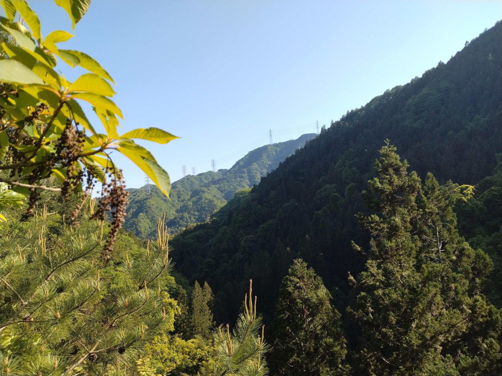 本日は山深い谷間の水源のお山にある岩に攀... / 🌸Springthunders⚡さんのモーメント | YAMAP / ヤマップ