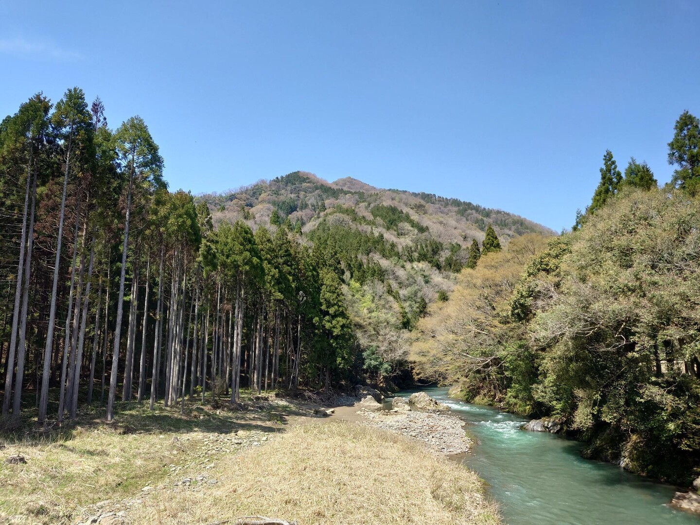 七七頭ヶ岳(七々頭ヶ岳) / Johnさんの新谷山・妙理山・七七頭ヶ岳の活動データ | YAMAP / ヤマップ