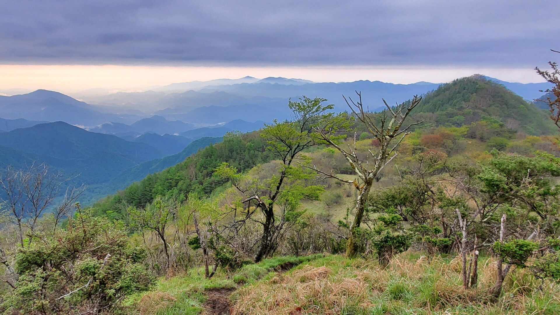 大蔵高丸・ハマイバ丸・大谷ヶ丸 / nobo1274さんの雁ヶ腹摺山・岩殿山の活動データ | YAMAP / ヤマップ