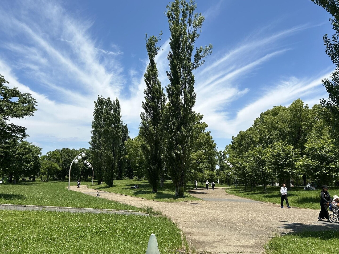 ウォーキング鶴見緑地-2024-06-01 / builder_sinさんのウォーキングの活動データ | YAMAP / ヤマップ