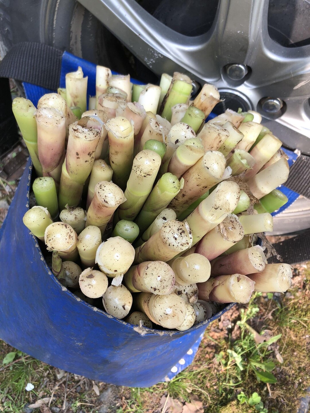 午前中仕事だったので午後からだけどイルム... / FUM!さんのモーメント | YAMAP / ヤマップ