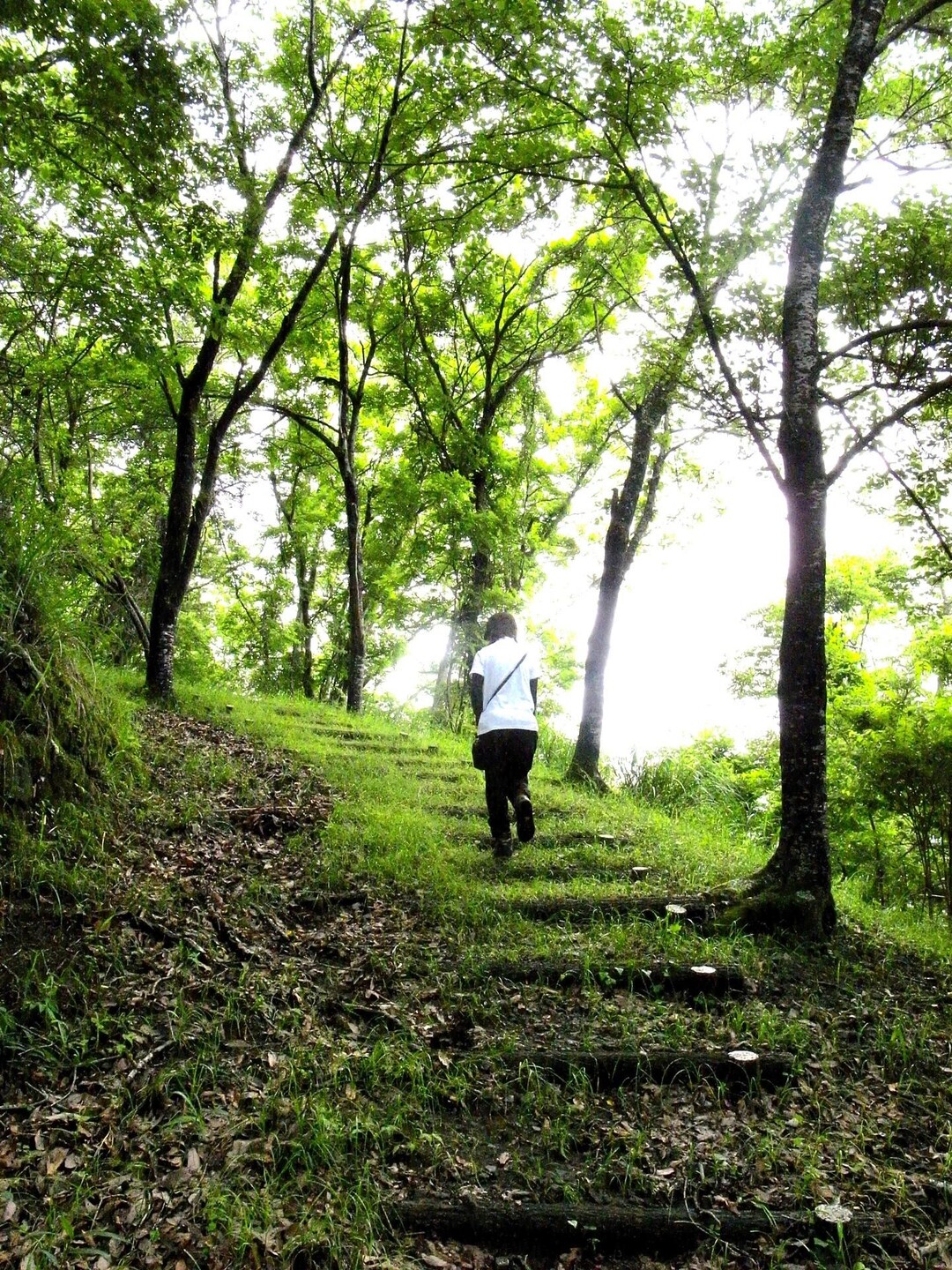 病み上がりのハイキング🥾もう一つの日向山へ。 / oma1173さんの日向山の活動データ | YAMAP / ヤマップ