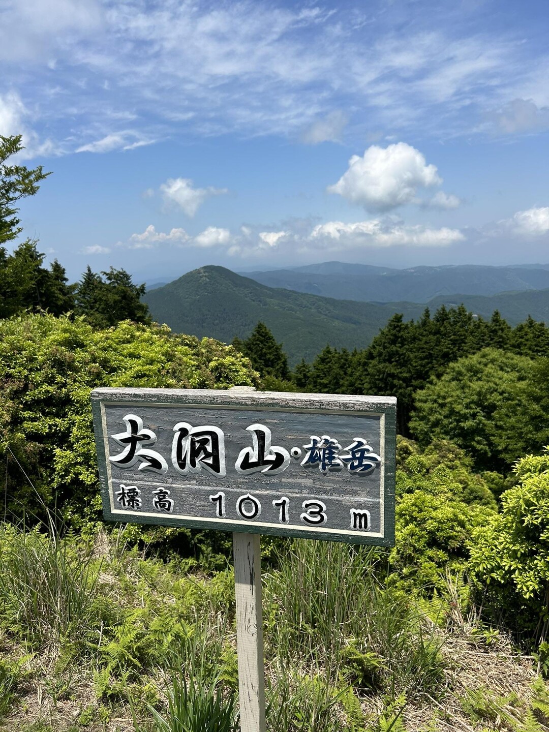 尼ヶ岳〜大洞山 / aiueo123さんの大洞山・尼ヶ岳の活動データ | YAMAP / ヤマップ