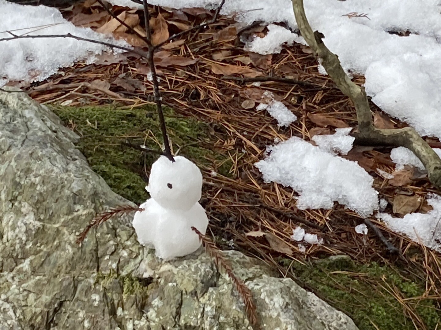 愛宕山に初詣㊗️ お神酒をいただいてきま... / 二胡さんのモーメント | YAMAP / ヤマップ