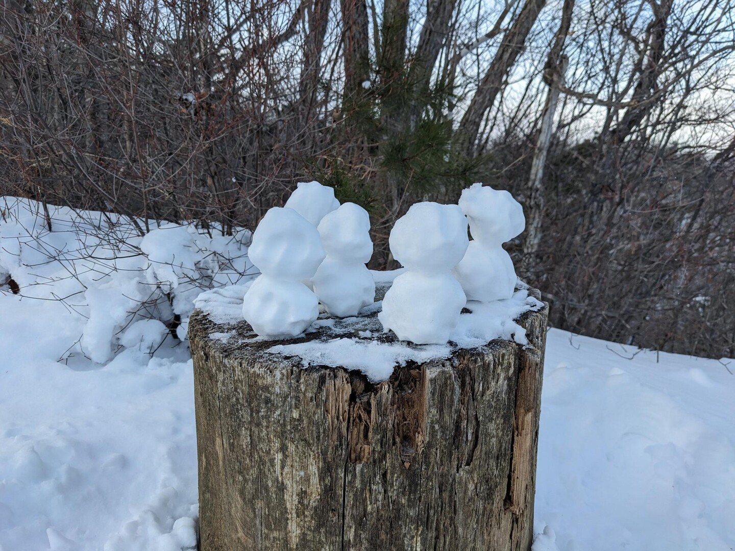 蕃山〜大梅寺往復（雪☃️） / 木戸コロネさんの太白山・萱ヶ崎山・蕃山の活動日記 | YAMAP / ヤマップ