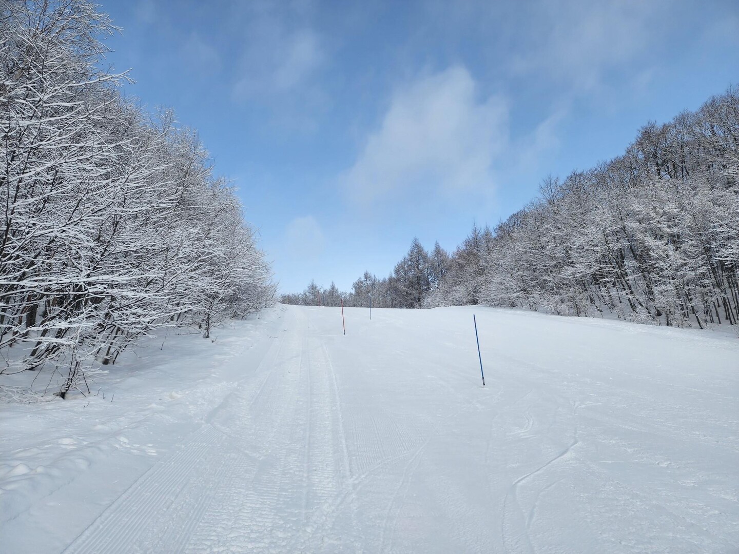SL練習-2023-01-16 / malmaさんの岩手山・八幡平・安比高原 50km トレイルの活動データ | YAMAP / ヤマップ