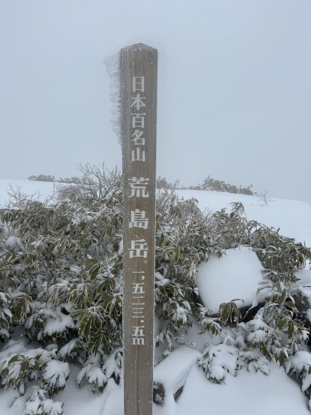 荒島岳 / Yj さんの荒島岳の活動データ | YAMAP / ヤマップ