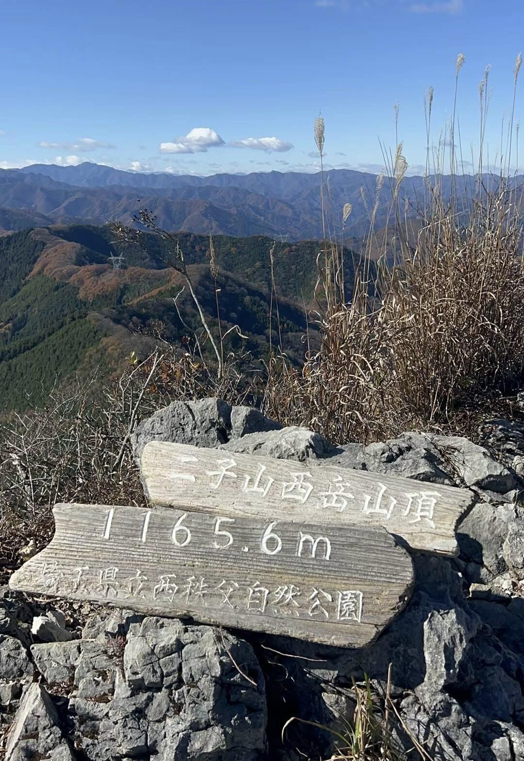 二子山西岳・二子山東岳 / 梅子さんの両神山・諏訪山・二子山の活動データ | YAMAP / ヤマップ