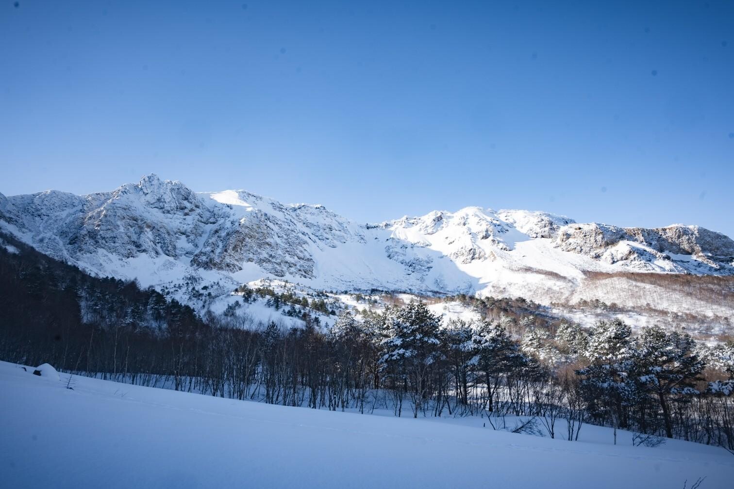 Sounds fun! / Ymdさんの磐梯山・雄国山・赤埴山の活動データ | YAMAP / ヤマップ