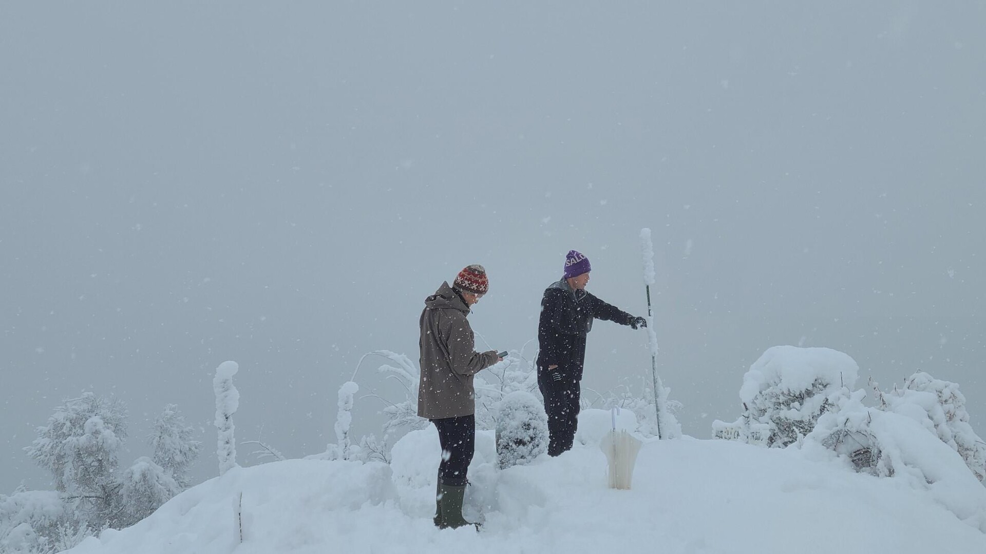 城山298.299.300 / めだかちゃんさんの時水城山・丸山の活動データ | YAMAP / ヤマップ