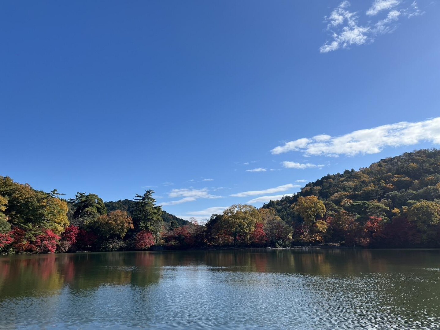 🍁再度山・城山 / rikiさんの六甲山・長峰山・摩耶山の活動データ | YAMAP / ヤマップ
