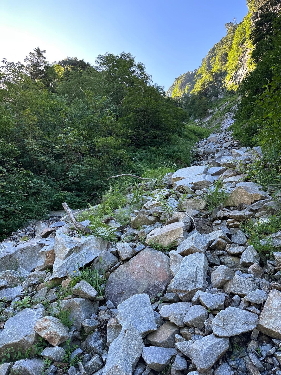 Jangers ジャンガースさんの投稿したフィールドメモ | YAMAP / ヤマップ