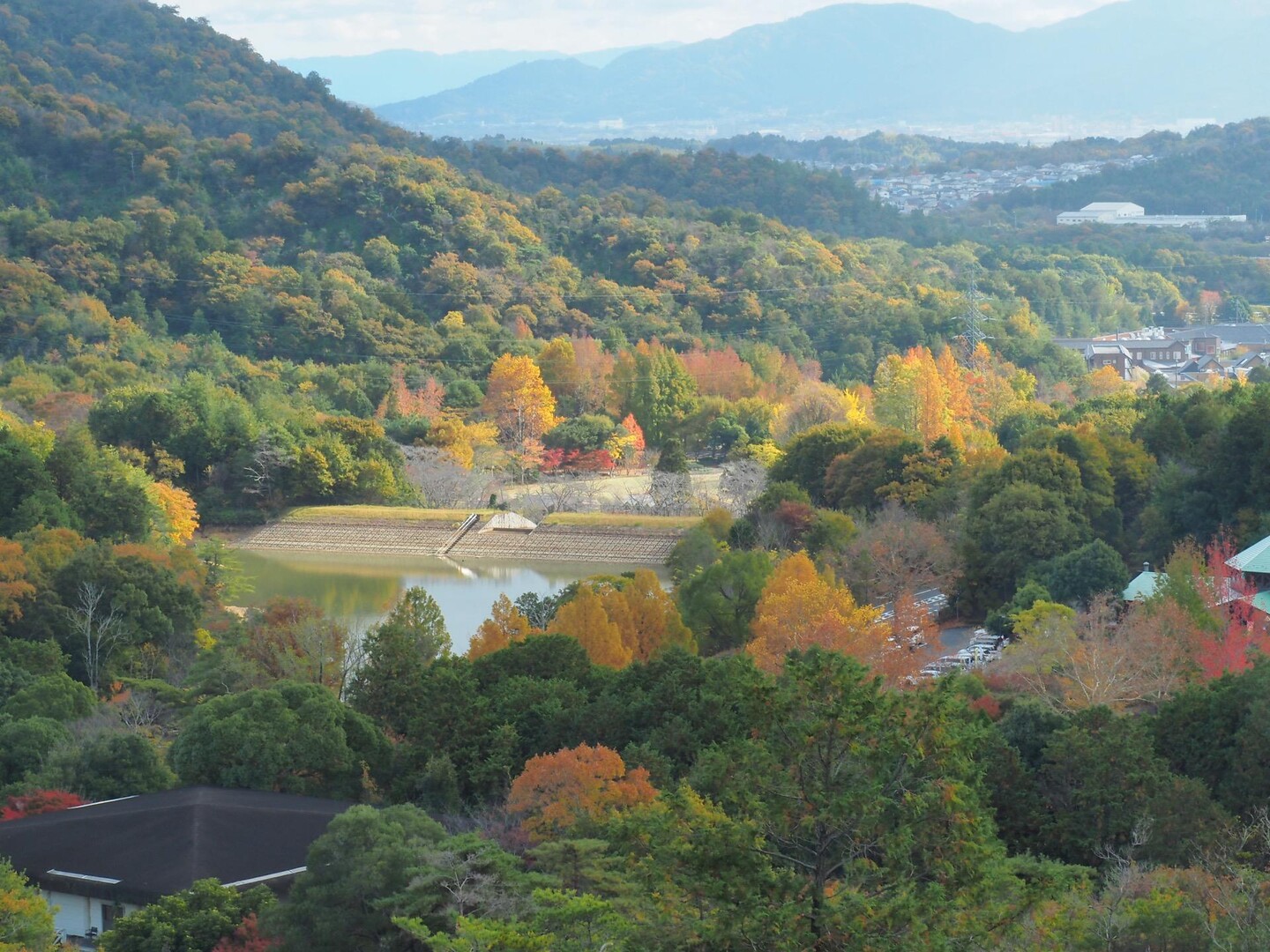 ㊗️200座！三上山（近江富士） / chiさんの三上山・鏡山の活動データ | YAMAP / ヤマップ