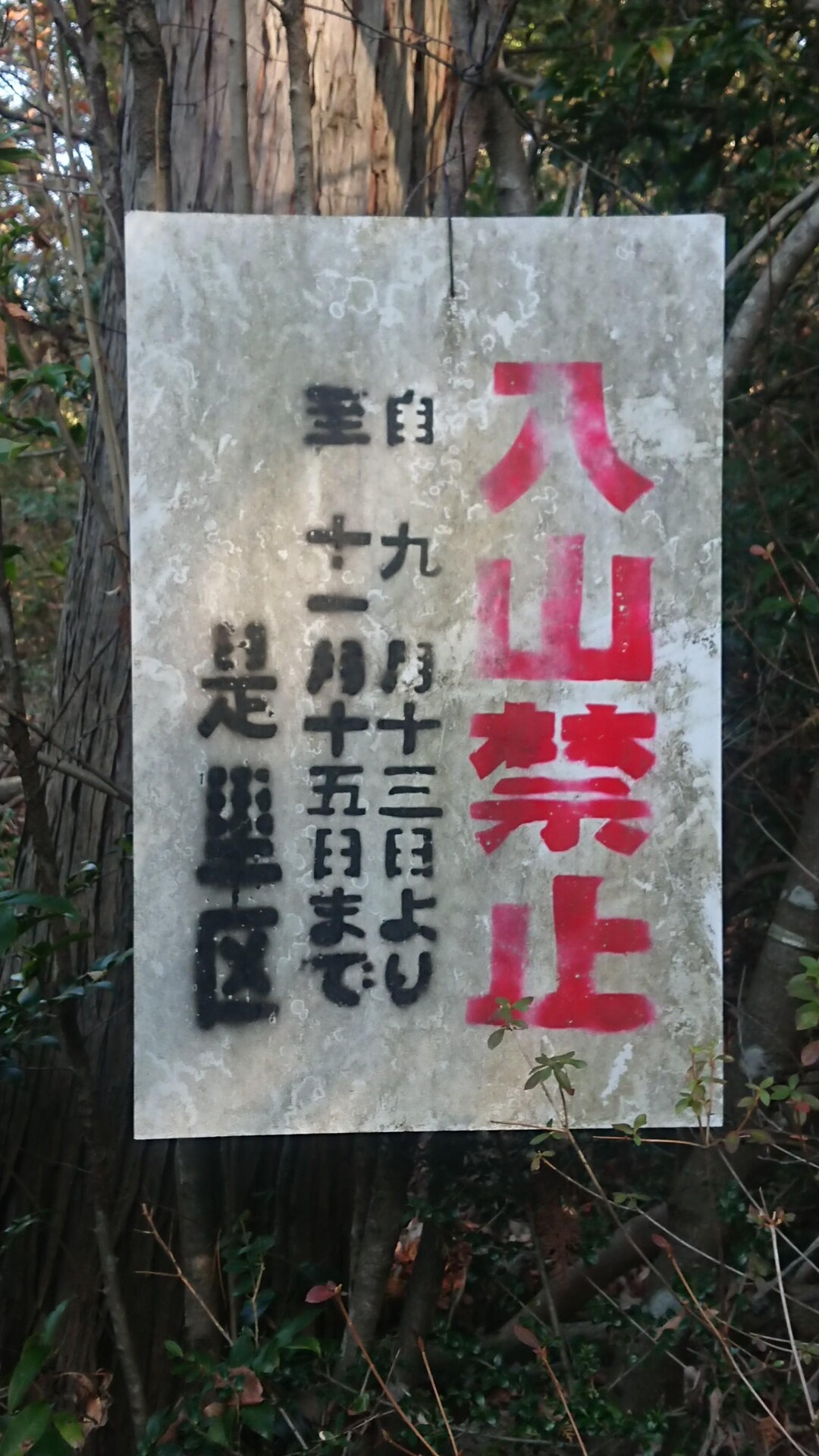 R1さんの投稿したフィールドメモ | YAMAP / ヤマップ