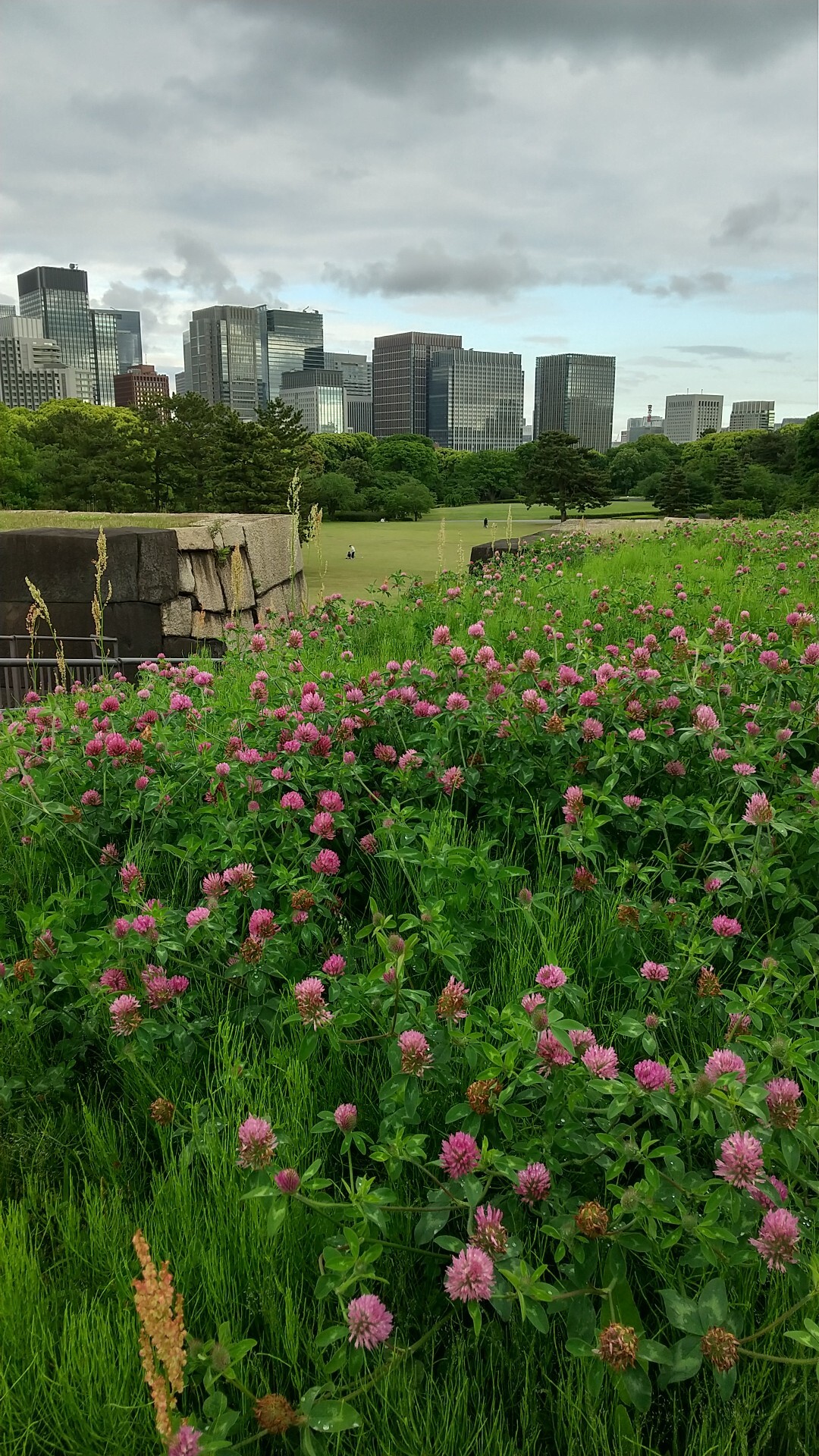 お天気悪いので神保町で山用品の買い物へ。... / Reiさんのモーメント | YAMAP / ヤマップ