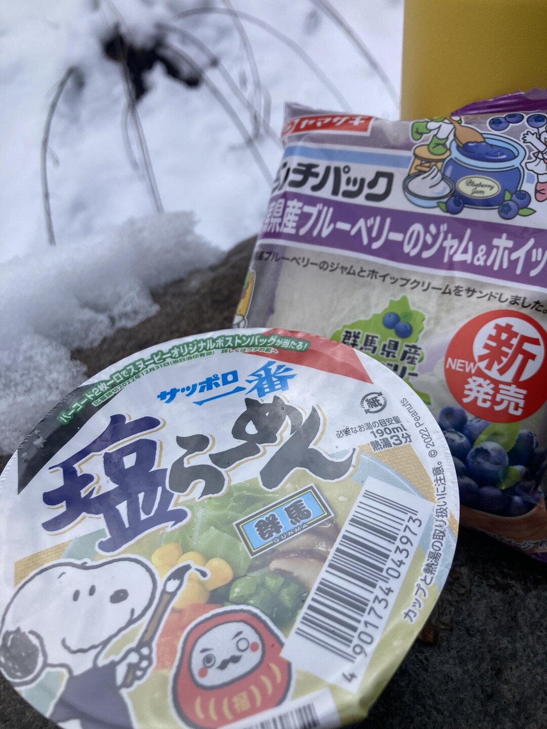 グンマー / ayayoさんのモーメント | YAMAP / ヤマップ