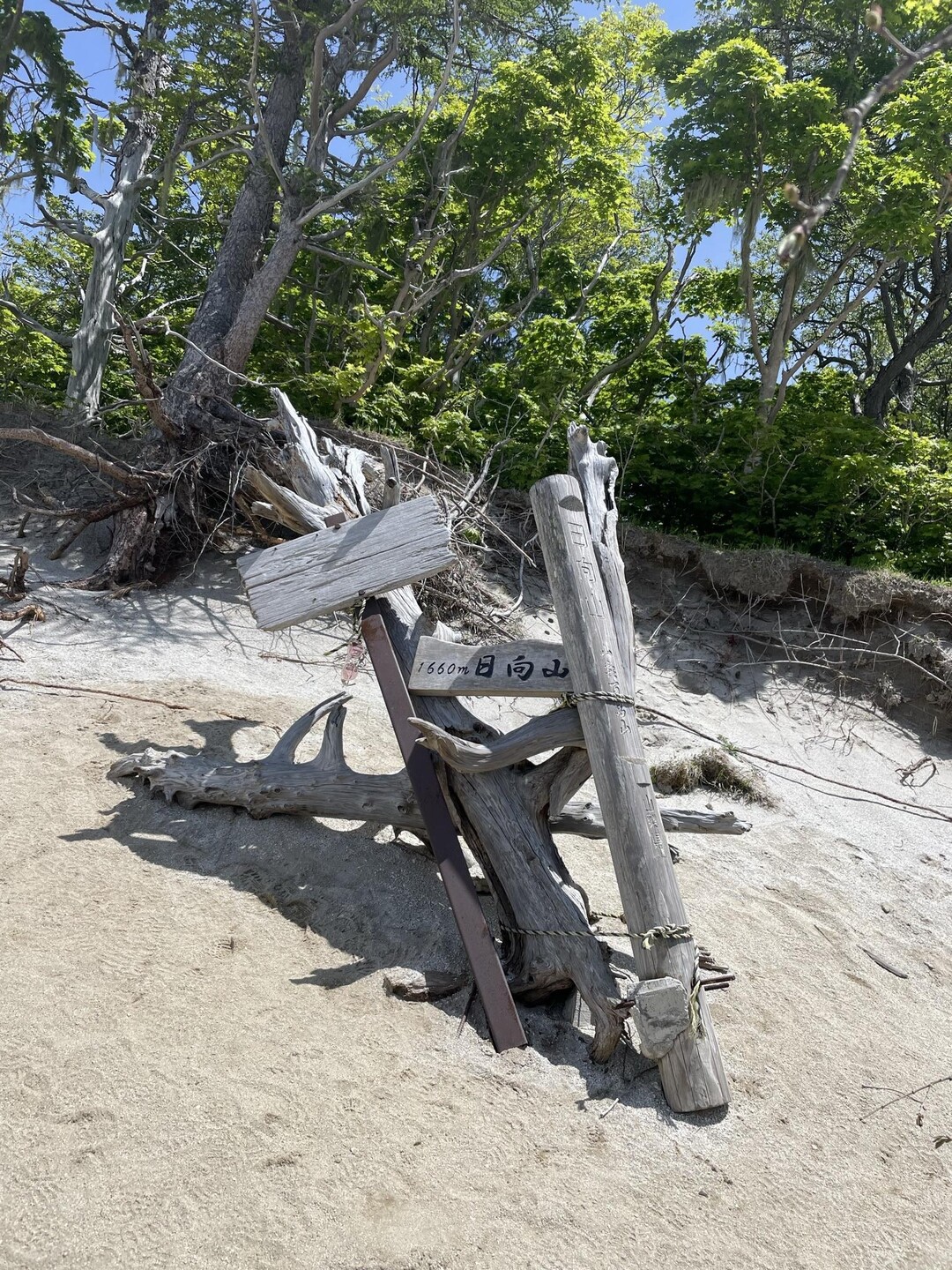 日向山 / mamiさんの雨乞岳の活動データ | YAMAP / ヤマップ