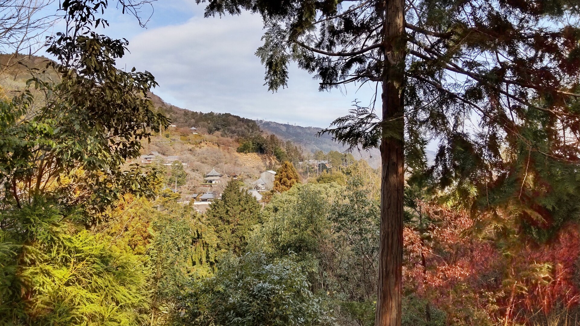 harroさんの投稿したフィールドメモ | YAMAP / ヤマップ