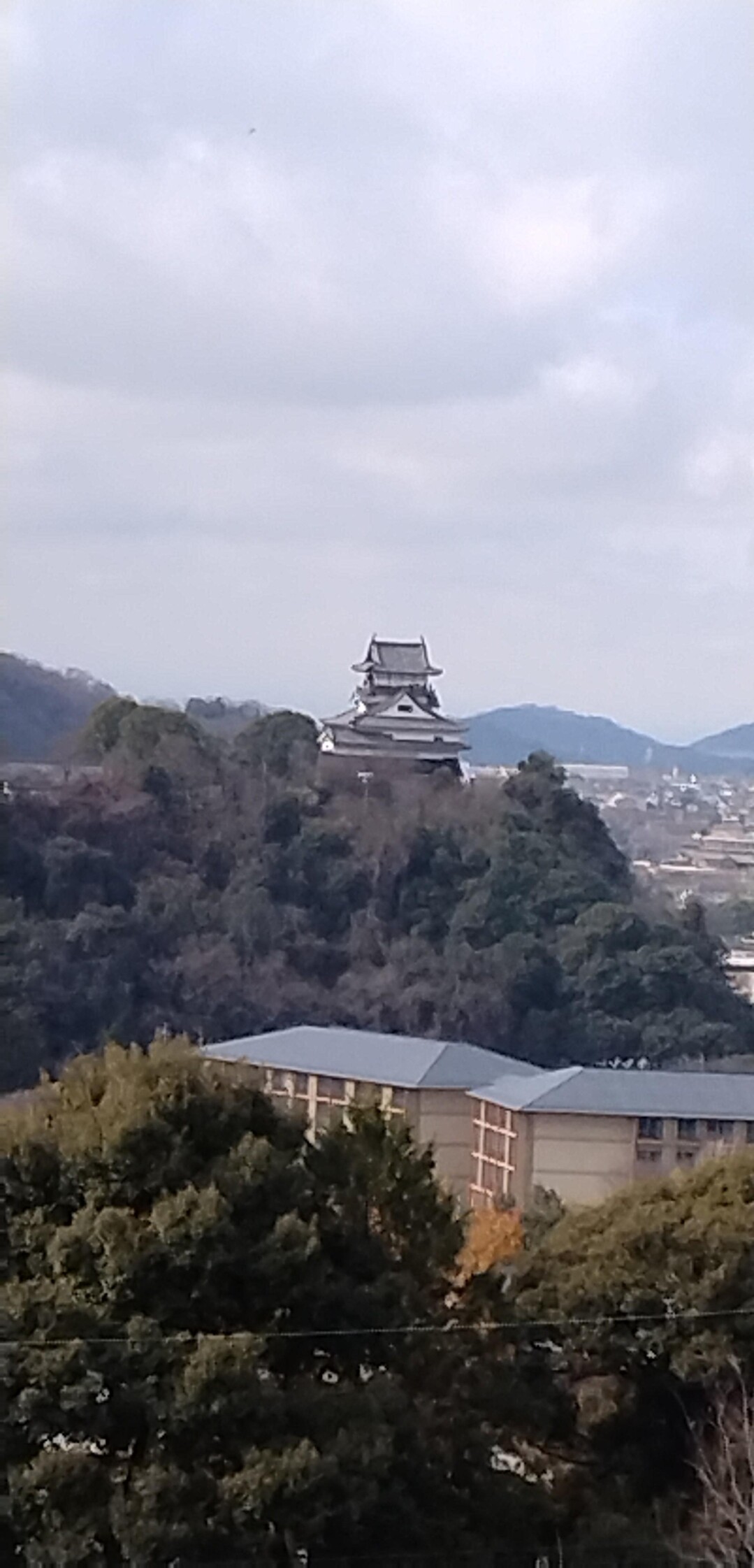 犬山城 犬山成田山 大聖寺から見る犬... / ぶりちゃん。さんのモーメント | YAMAP / ヤマップ