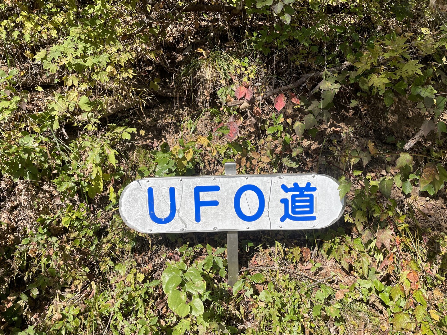 君は千貫森でUFOを見たか⁉ / くもりさんのウォーキングの活動データ | YAMAP / ヤマップ