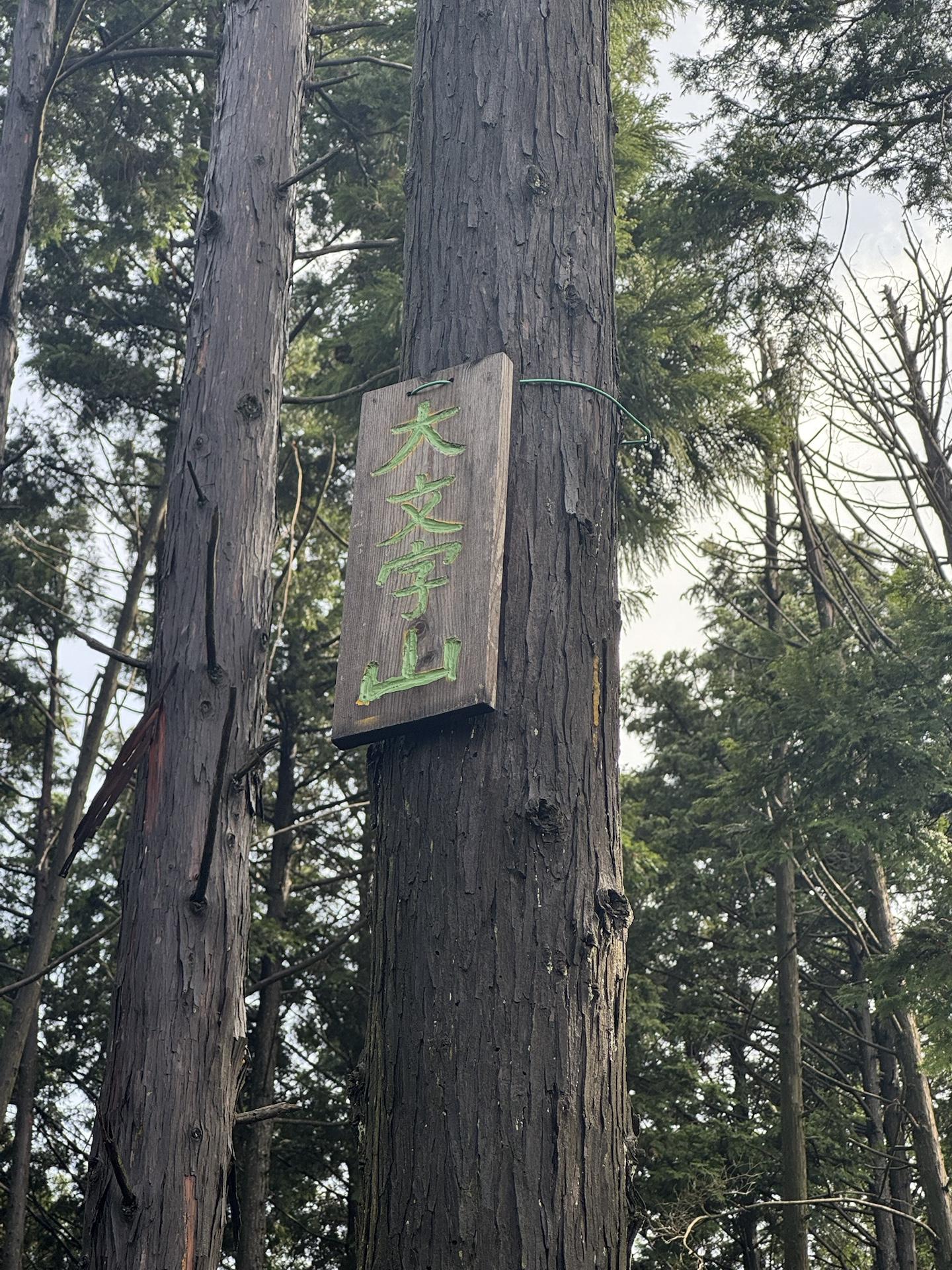 諸羽山・柳山・陰山・行者谷山・毘沙門山・如意ヶ岳・大文字山・熊山・孫熊山・子熊山・曾孫熊山・玄... / ryu-nosukeさんの大文字山・如意ヶ嶽・稲荷山の活動データ | YAMAP / ヤマップ
