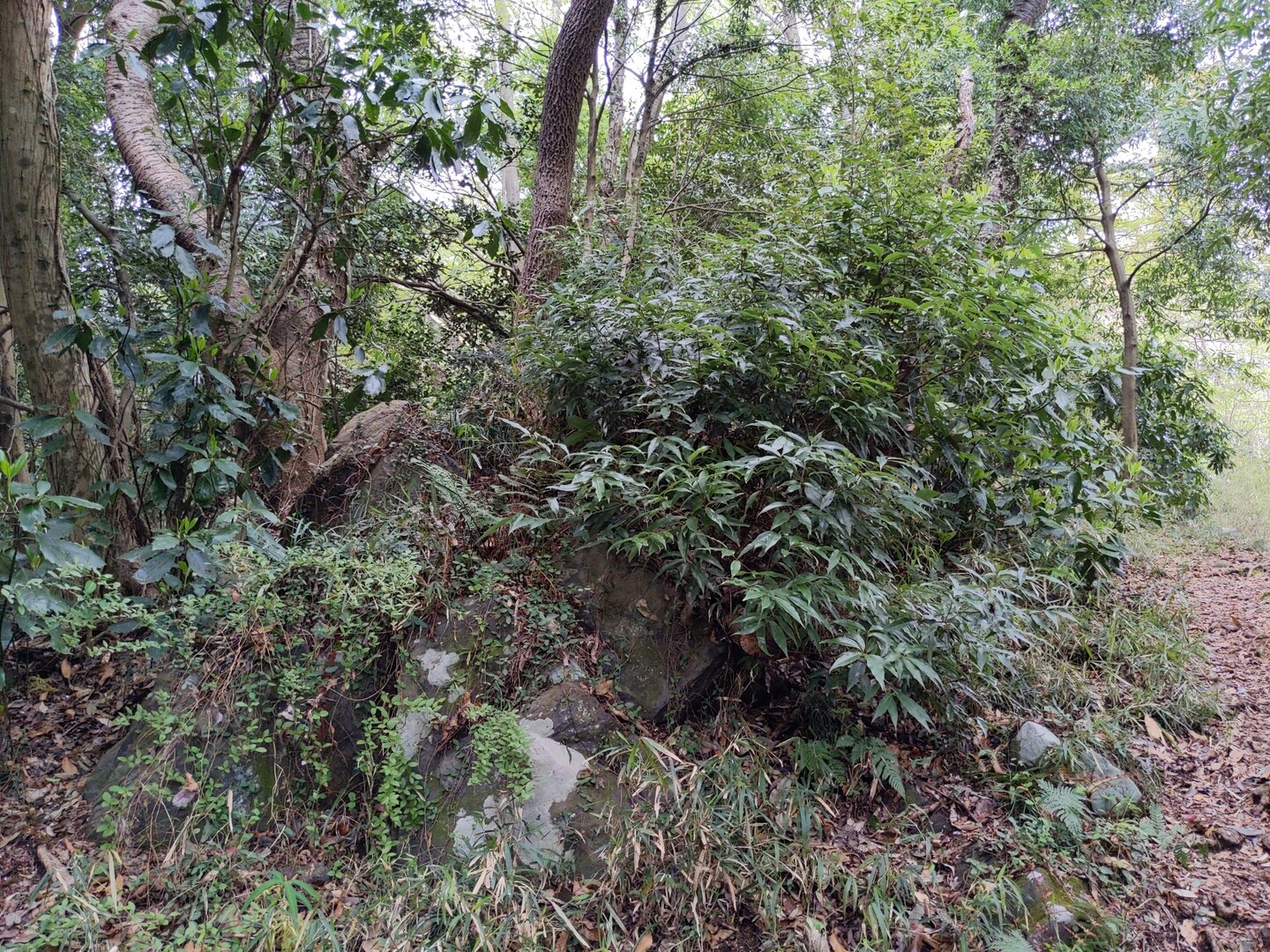 水戸710さんの投稿したフィールドメモ | YAMAP / ヤマップ