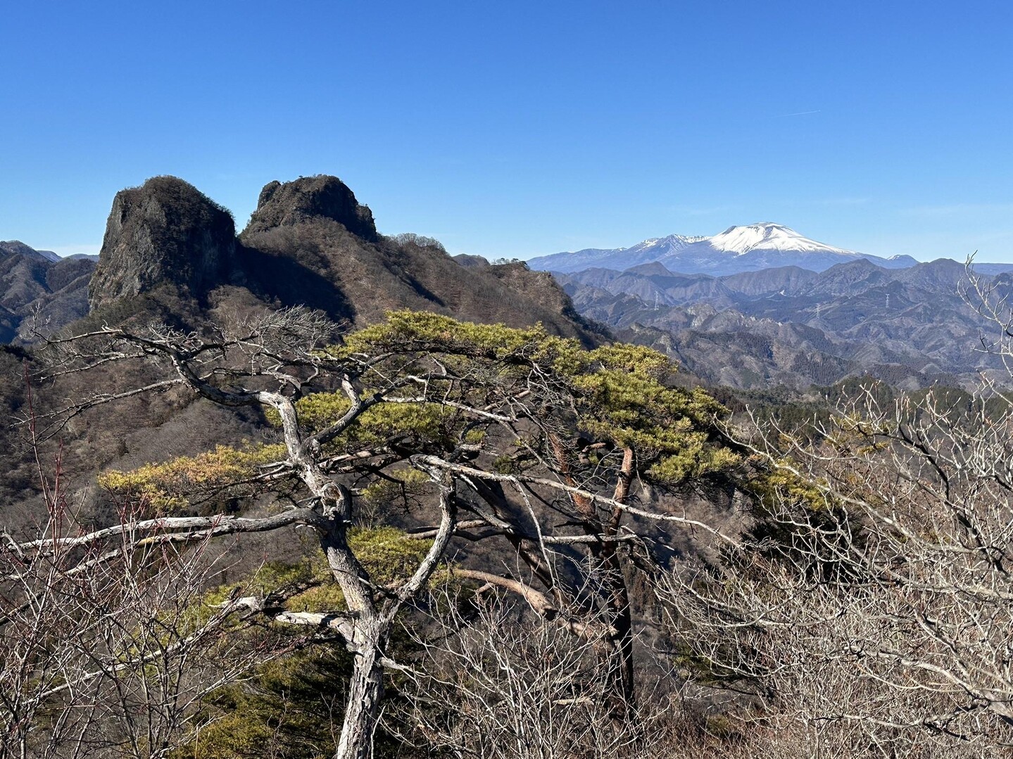 西上州🦌四ッ又山〜鹿岳 / mamoさんの鹿岳・黒滝山の活動データ | YAMAP / ヤマップ