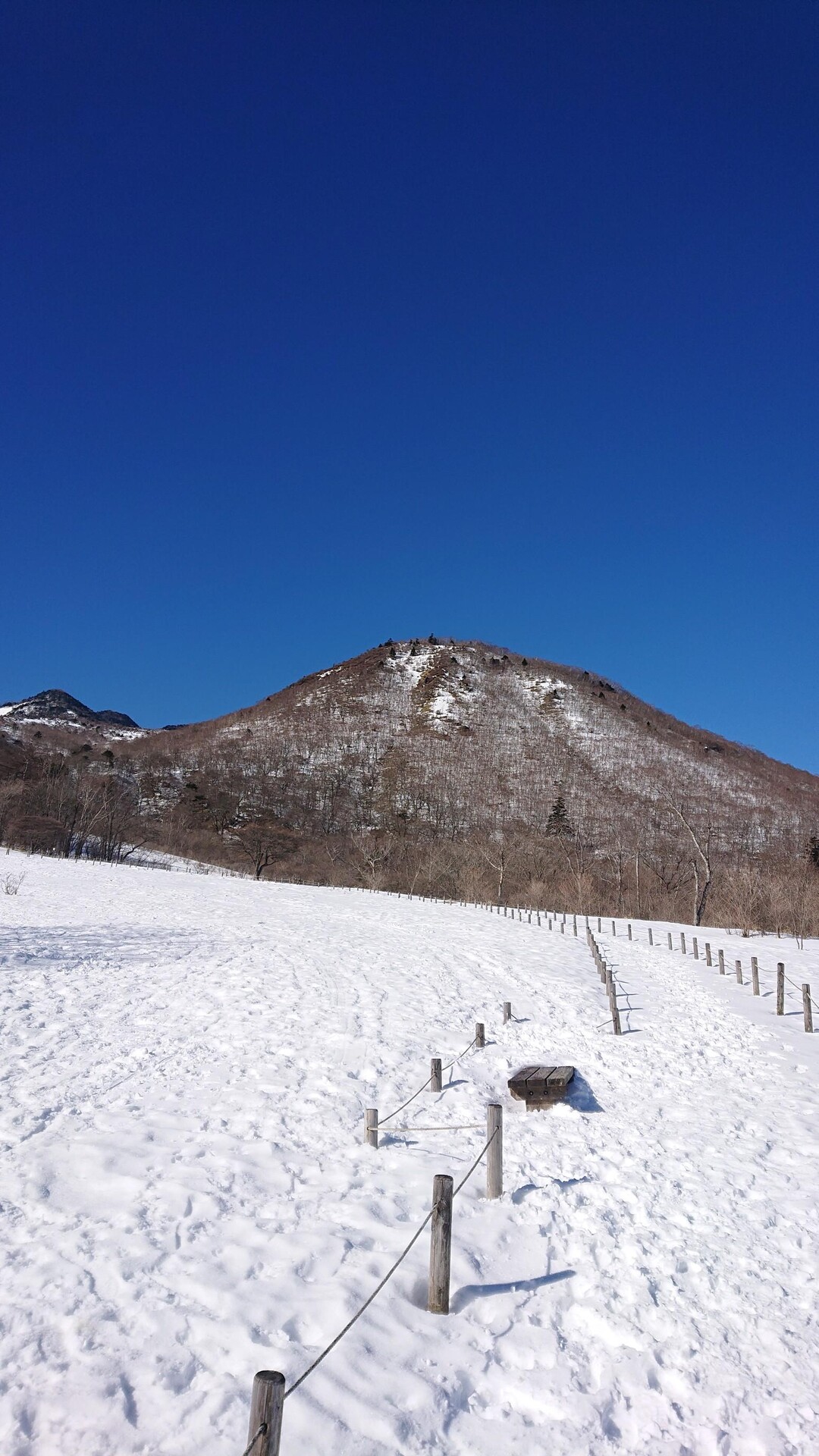 小丸山・丸山 / youさんの女峰山・赤薙山・大真名子山の活動データ | YAMAP / ヤマップ
