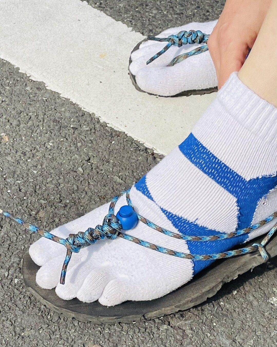 DEBUT を求めて / nahooさんの青葉山の活動データ | YAMAP / ヤマップ