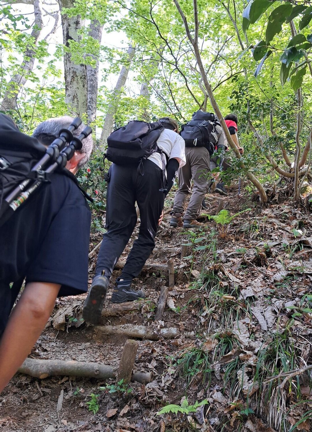 春の宝達山満喫ツアー / tottinさんの宝達山の活動データ | YAMAP / ヤマップ