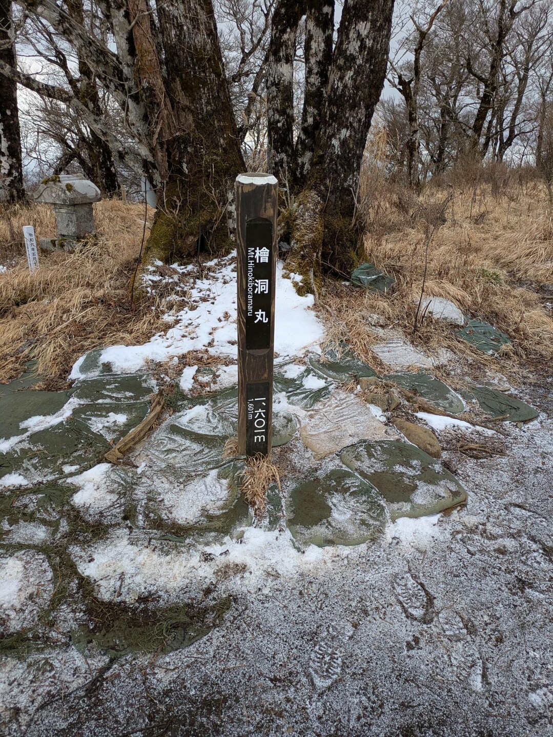 檜洞丸(西丹沢VCからピストン) / YOKUさんの大室山・畦ヶ丸山・菰釣山の活動データ | YAMAP / ヤマップ