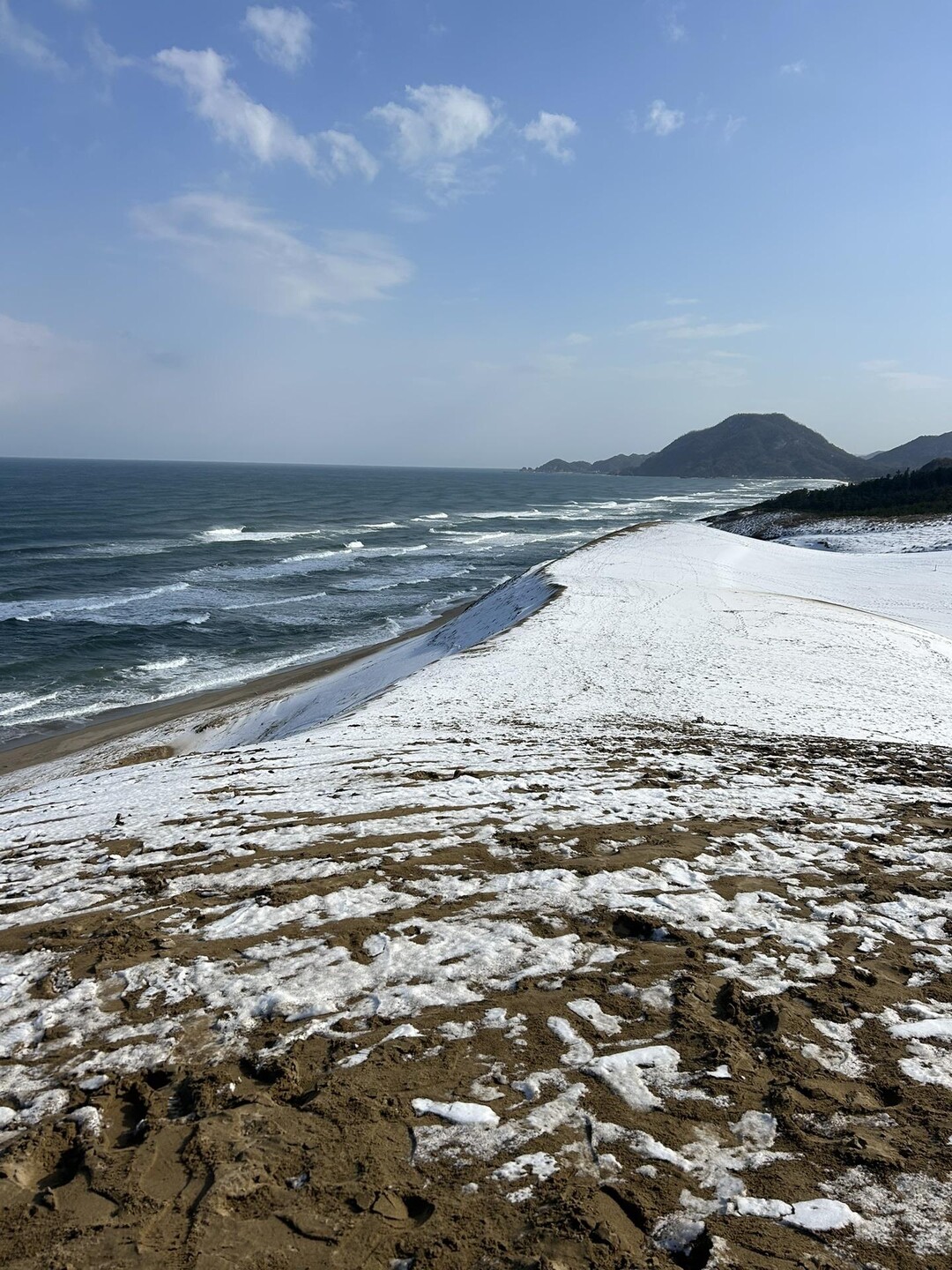 久松山・本陣山 / akkiさんの久松山・本陣山・摩尼山の活動データ | YAMAP / ヤマップ