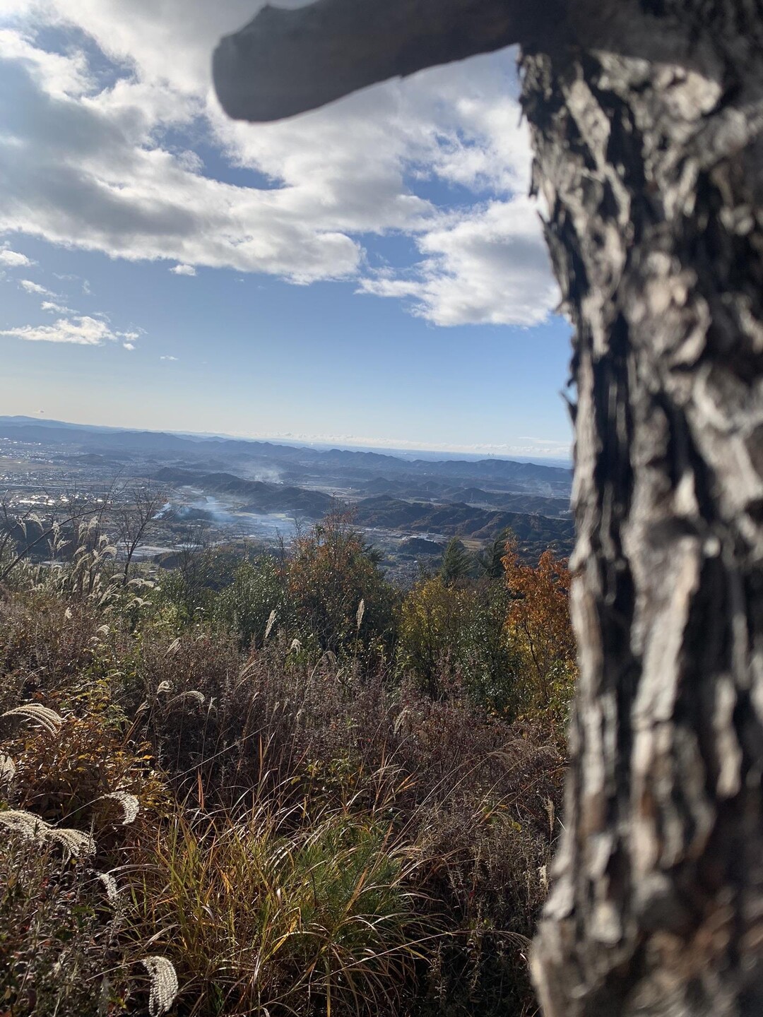天王山・白山・誕生山 / siroさんの天王山・誕生山の活動データ | YAMAP / ヤマップ