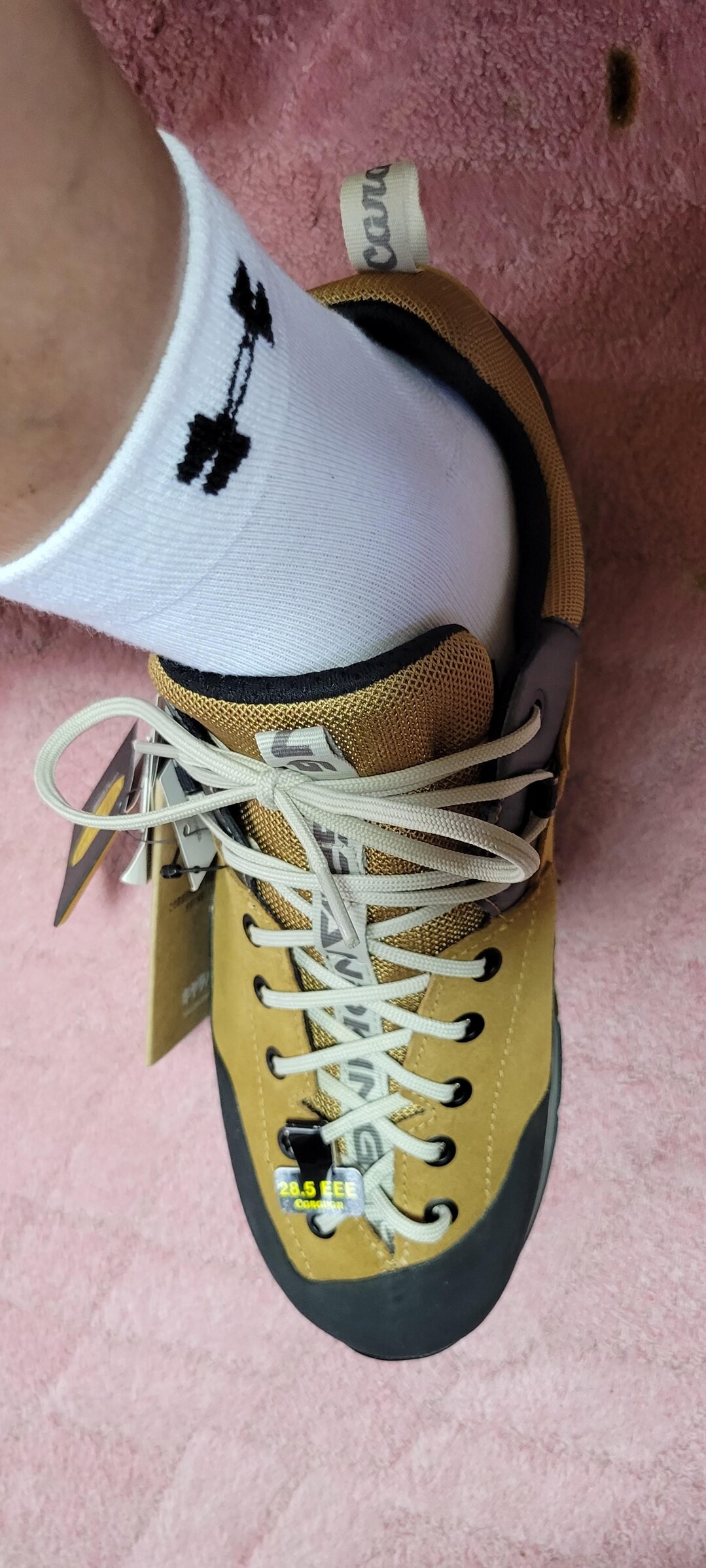 Grand KING GX26 28... / ゆきさんのモーメント | YAMAP / ヤマップ