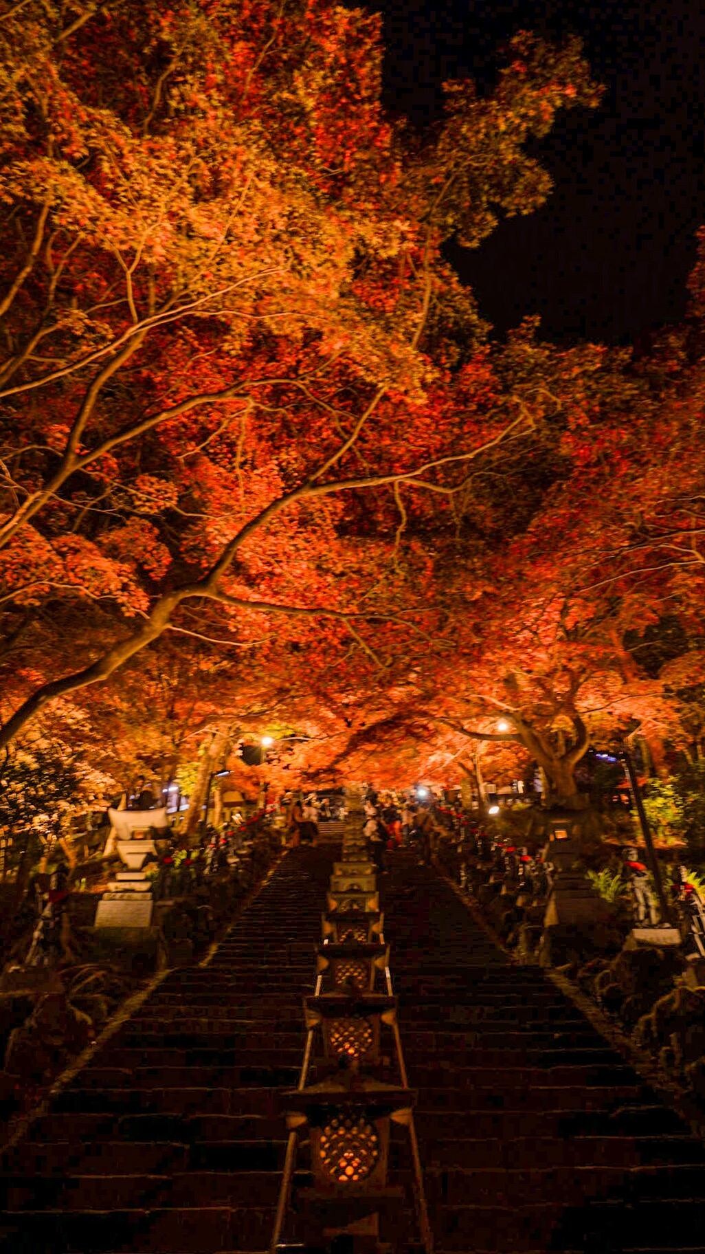 大山 / Yoshi.Kさんの大山の活動データ | YAMAP / ヤマップ