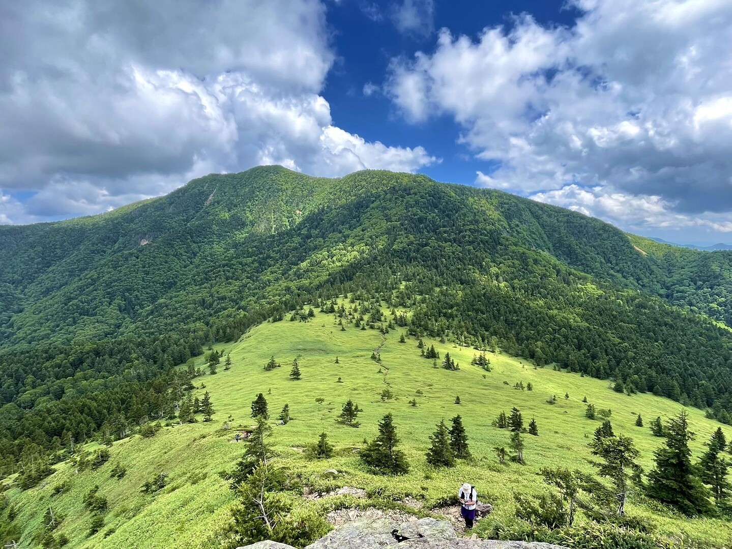 根子岳・四阿山・中四阿・小四阿 / Yossyさんの四阿山・根子岳の活動データ | YAMAP / ヤマップ