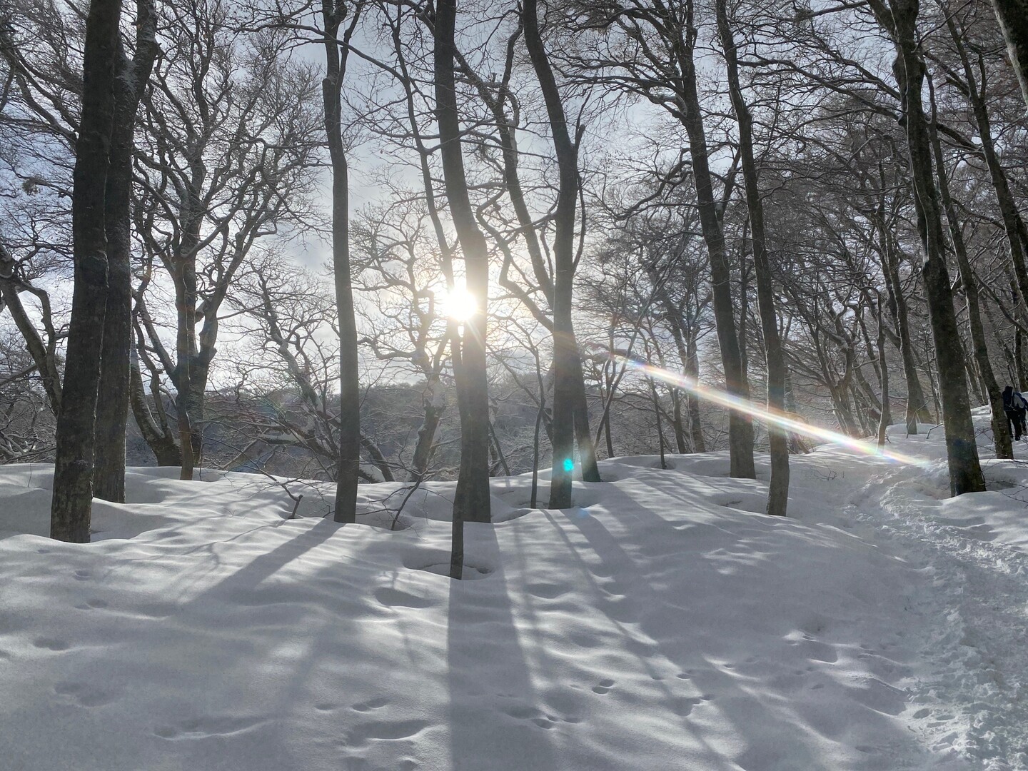 大山（弥山）今シーズン最後の雪山 / 51-GOGOさんの大山・甲ヶ山・野田ヶ山の活動日記 | YAMAP / ヤマップ