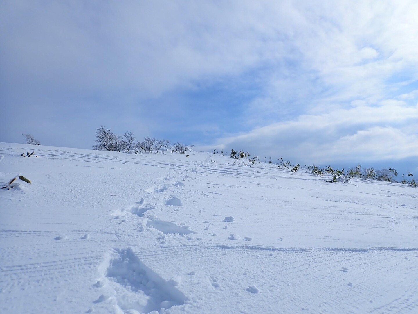 登り納め？は氷ノ山-2024-12-30 / MC先輩さんの氷ノ山（須賀ノ山）・鉢伏山・瀞川山の活動データ | YAMAP / ヤマップ