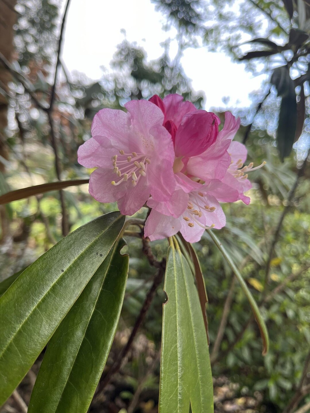 2024.04.03(水) 23:59 / まさ山さんのモーメント | YAMAP / ヤマップ
