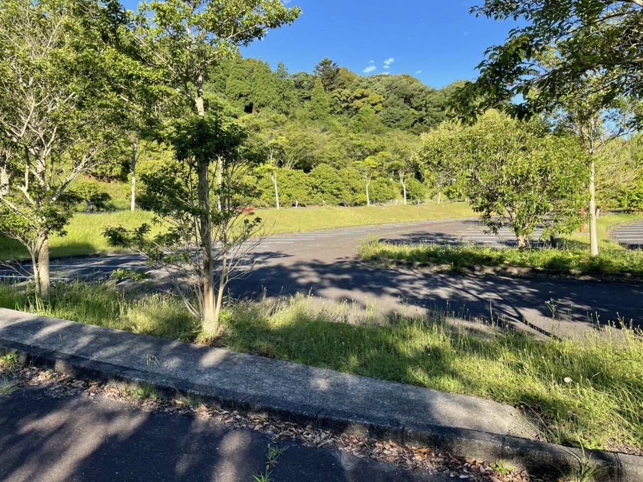 お姫さま〜👸今から会いにいくよ♪ 南岳・雌岳・姫御前岳・雄岳 白モースさんの星塚山・スガ岳・姫御前岳の活動データ Yamap ヤマップ