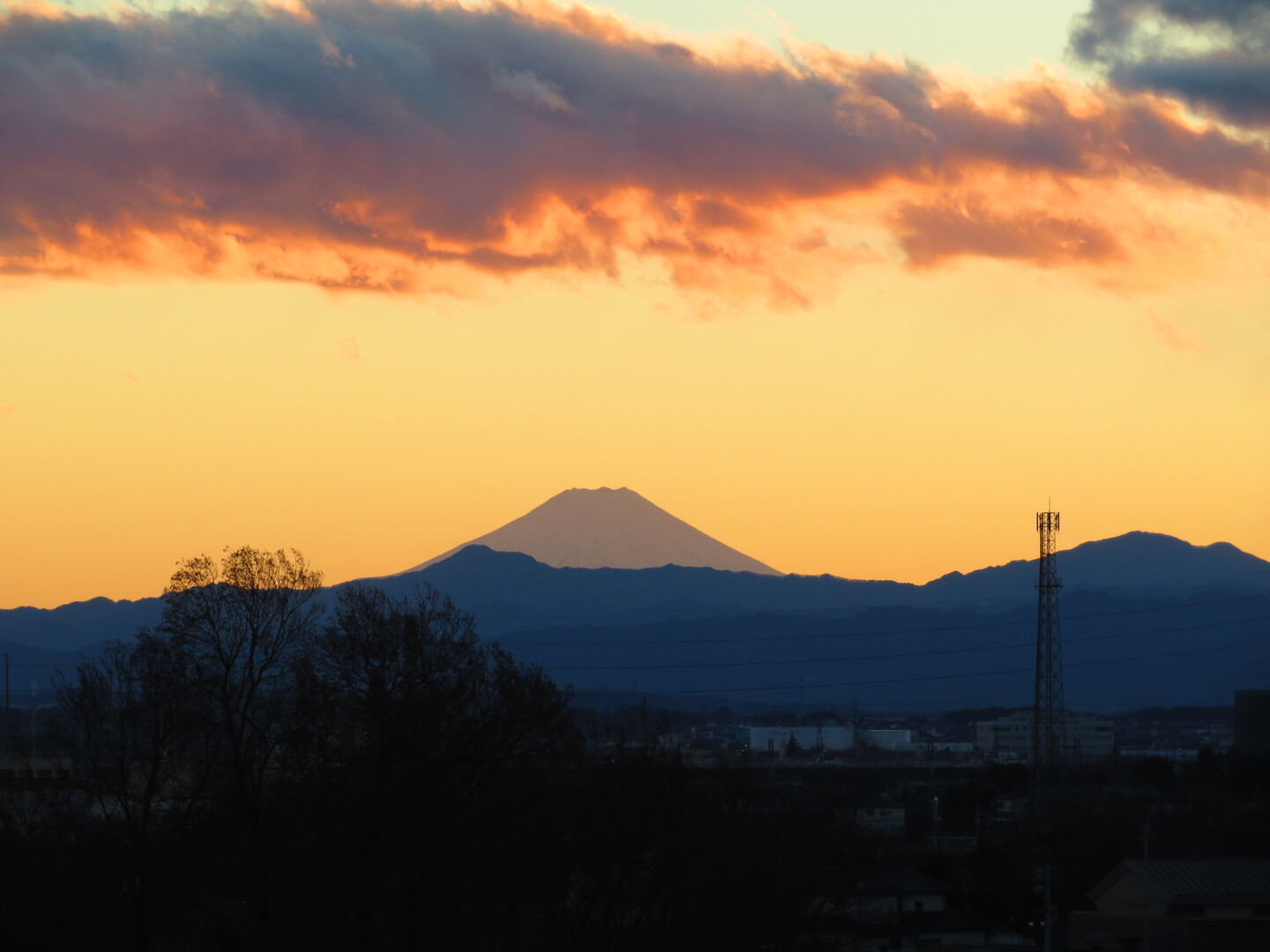 夕暮れの散歩 / mickey さんの官ノ倉山の活動データ | YAMAP / ヤマップ