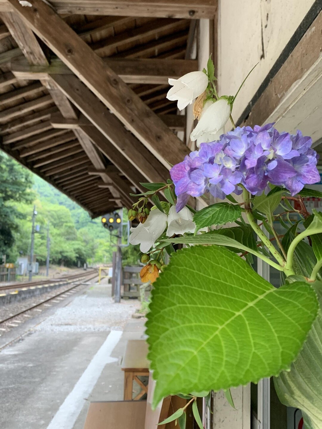 秘境の駅🚉坪尻駅へ / seekaさんのウォーキングの活動データ | YAMAP / ヤマップ