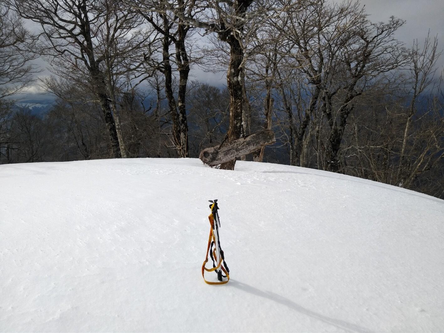 猿政山 / SS広島さんの猿政山の活動データ | YAMAP / ヤマップ